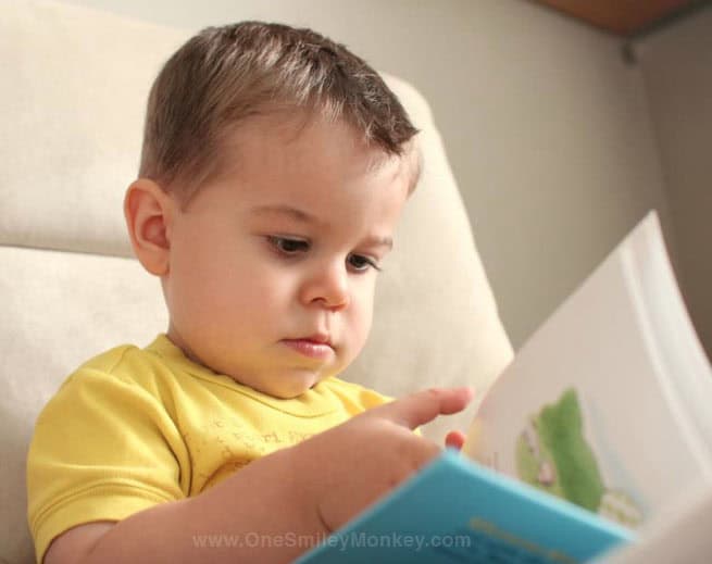 Teach Your Child To Read Reading Program Holiday Gift Idea Giveaway 