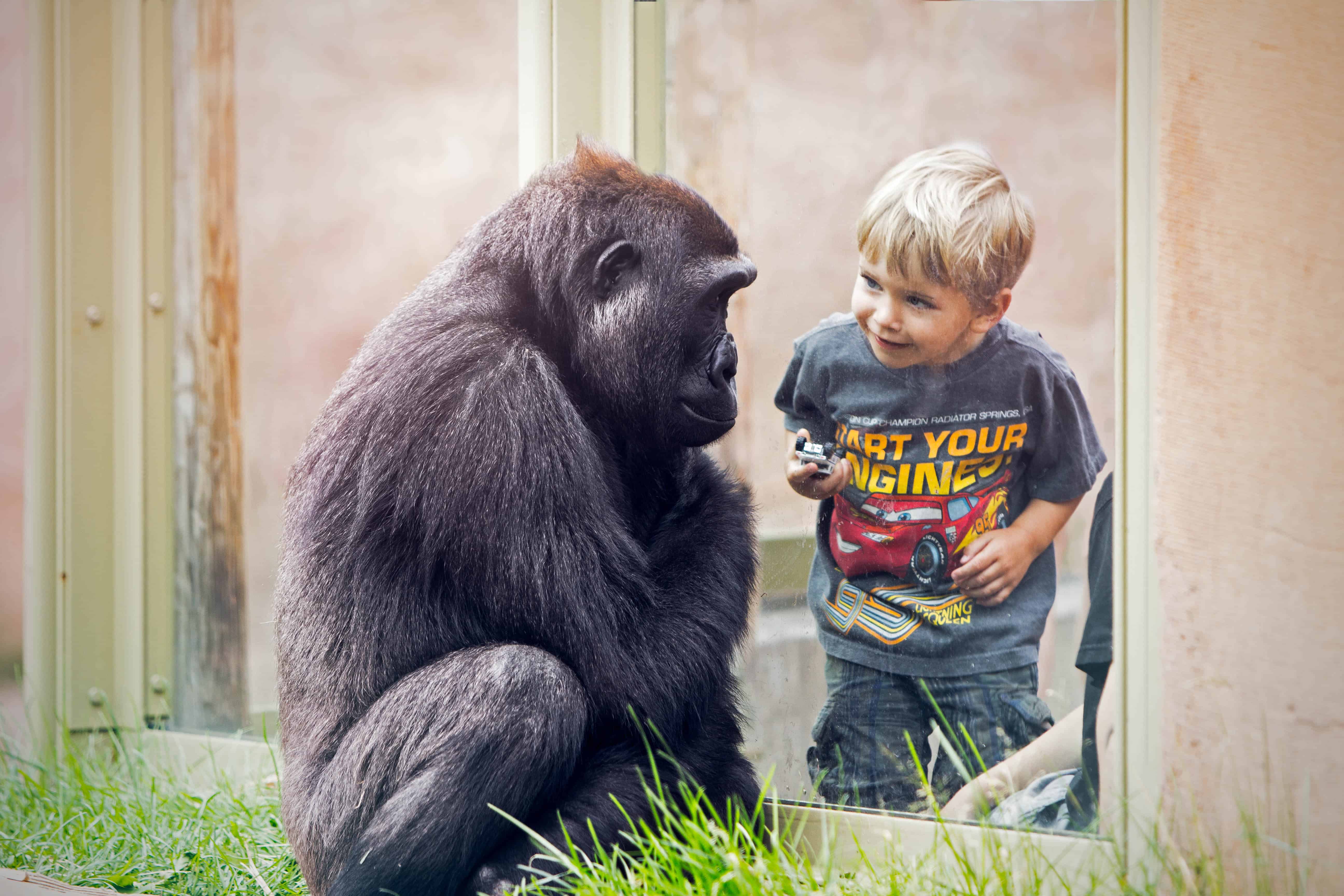 Travel Destination: Calgary - The Calgary Zoo - OneSmileyMonkey.com
