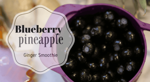 The Best Blueberry Ginger Smoothie {Recipe} - OneSmileyMonkey.com