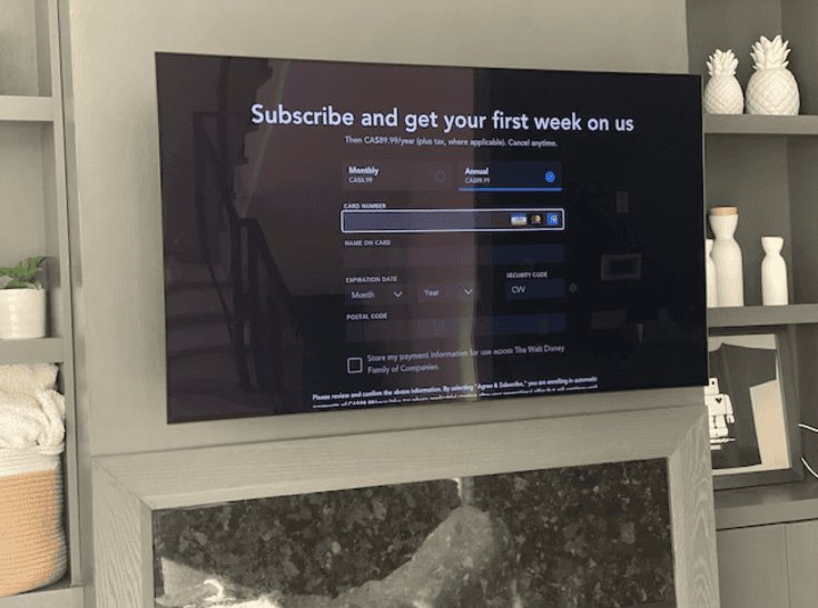 Disney Plus Streaming Service, Is It Worth The Money? - OneSmileyMonkey.com