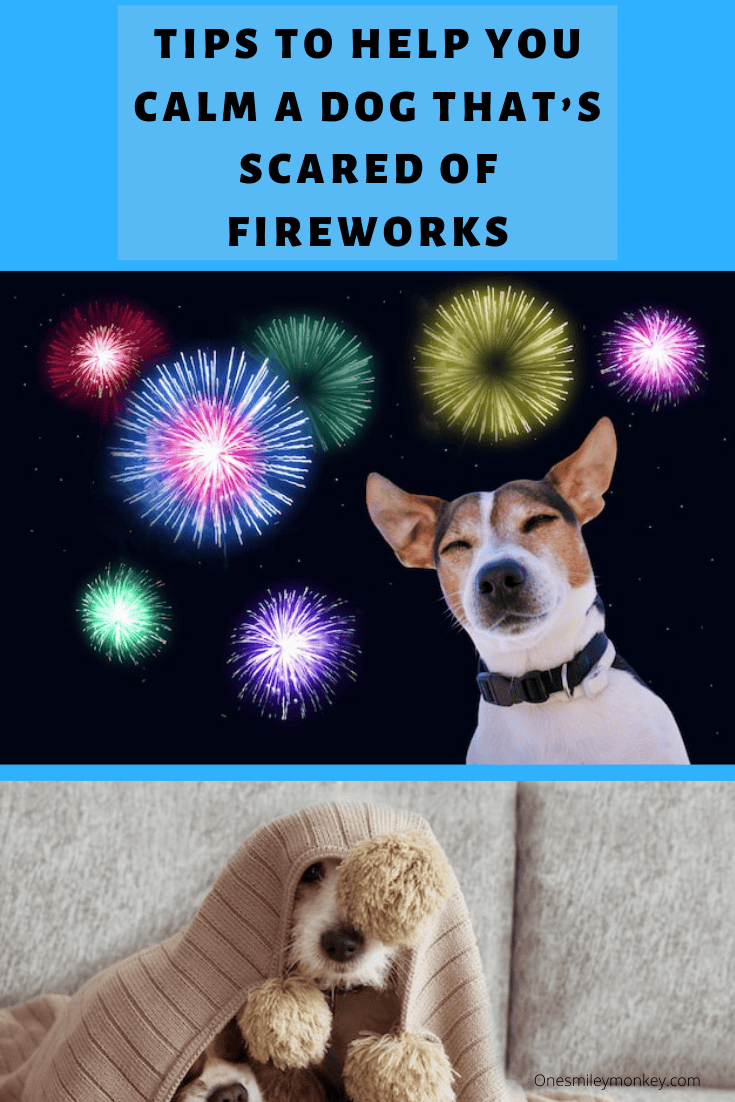 Tips to Help You Calm a Dog That's Scared of Fireworks ...