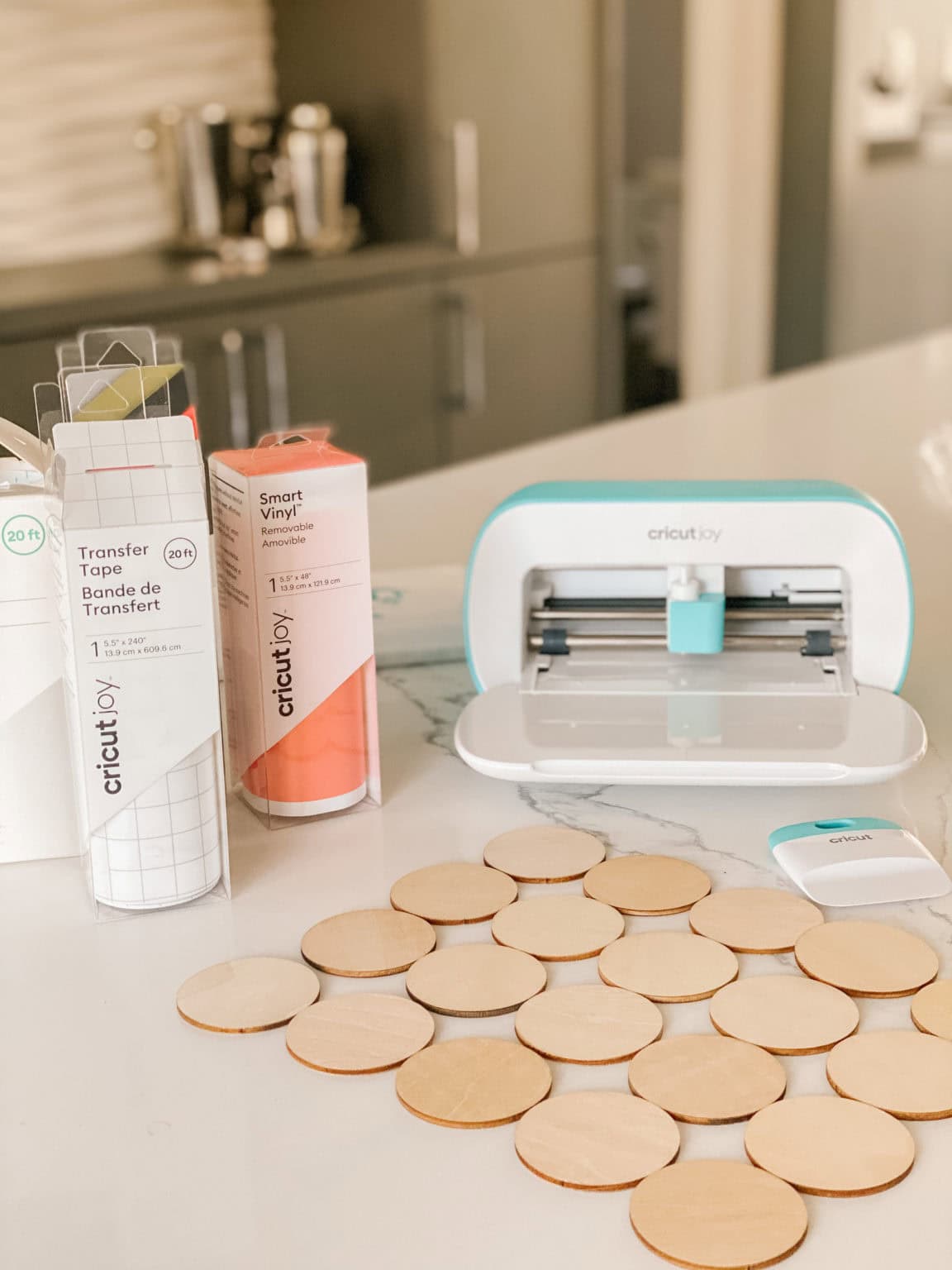 DIY Memory Game for Kids with Cricut - OneSmileyMonkey.com