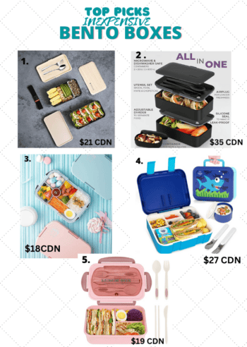 Finding the Right Bento Box for You - What To Look For ...