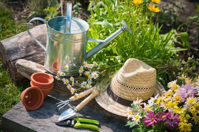Gardening Tips for July: Keeping Your Garden Thriving During The Summer - OneSmileyMonkey.com